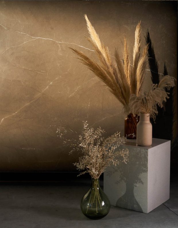 Pulpis Brown – TOIN